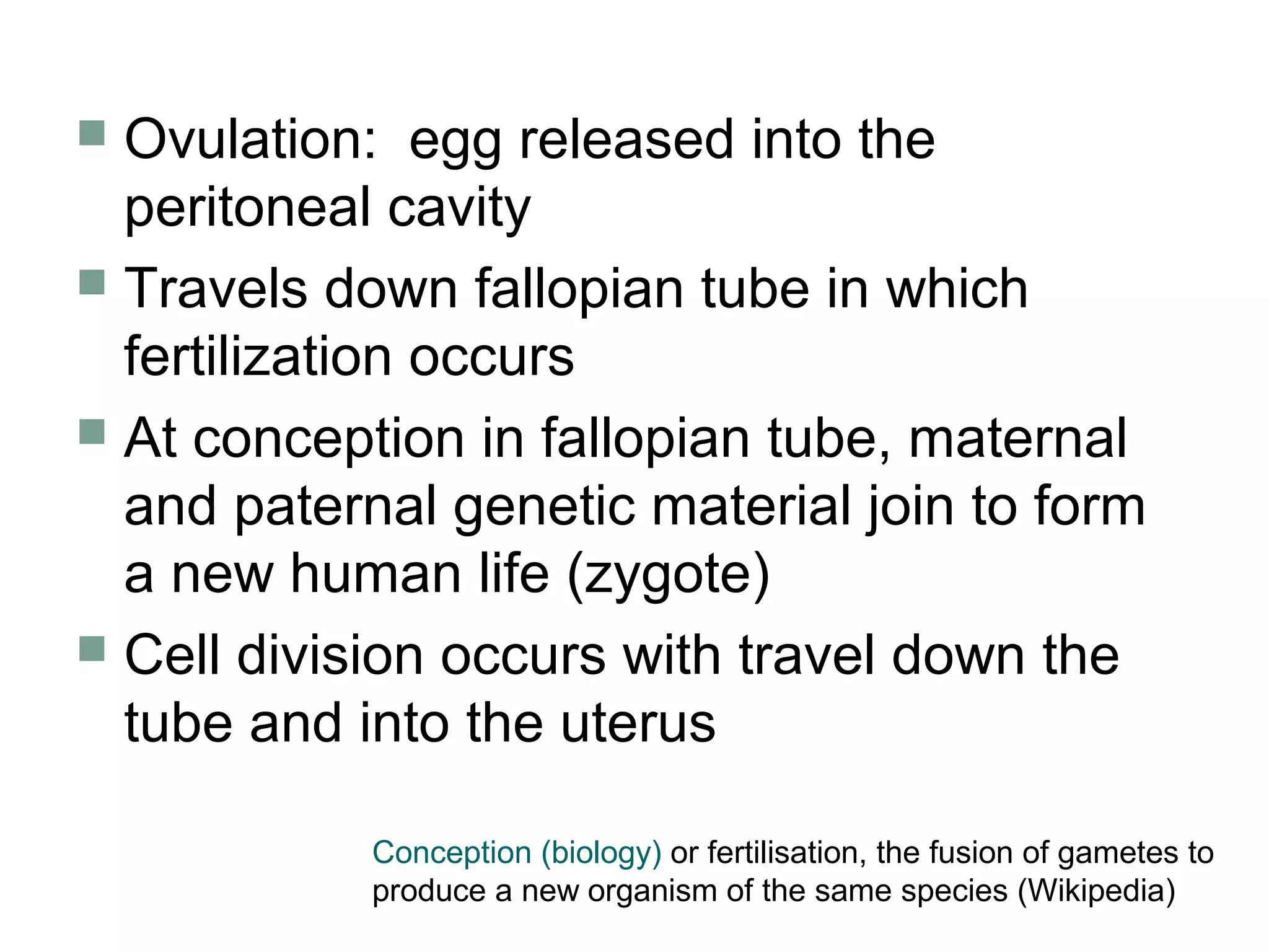 Basic embryology | PPT