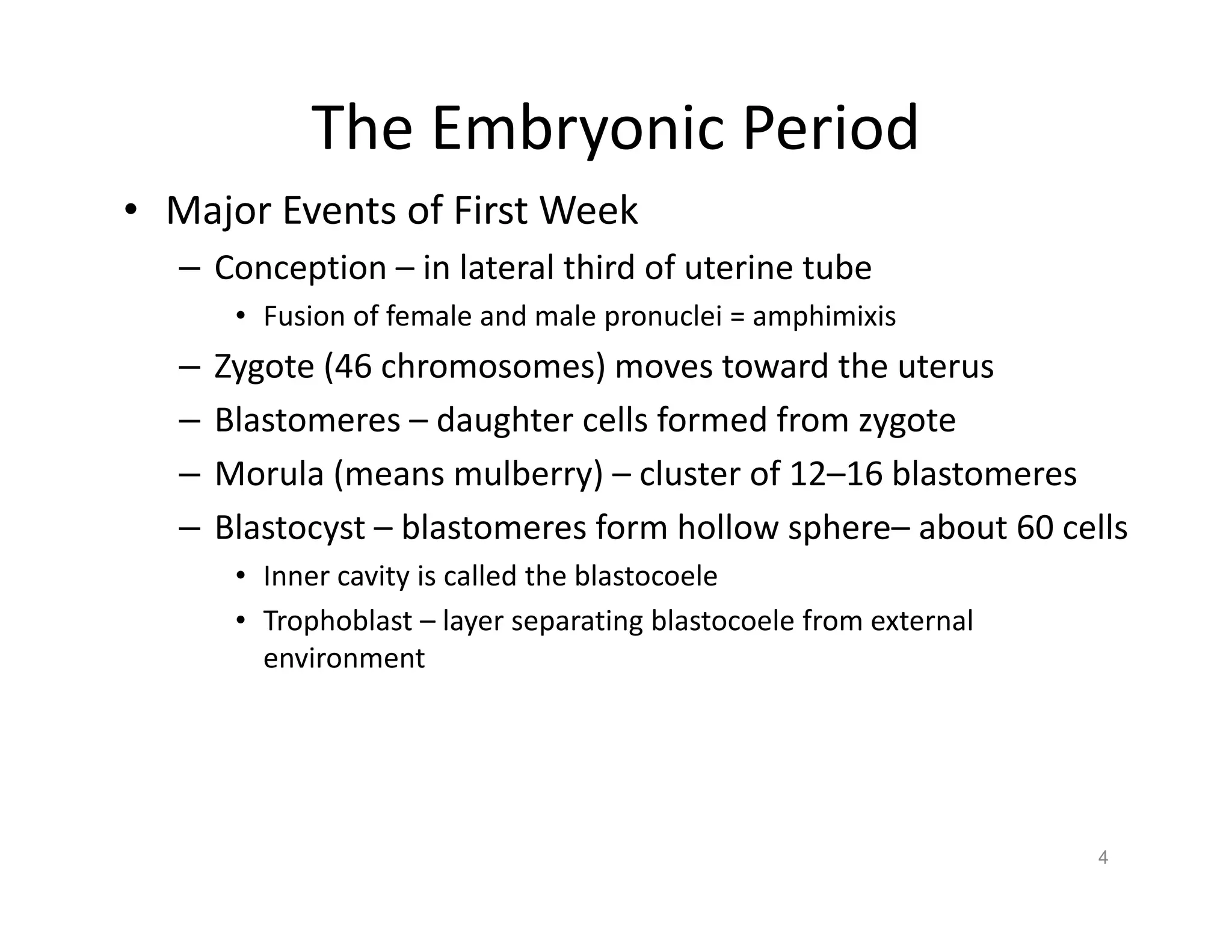 Basic_Embryology.pdf