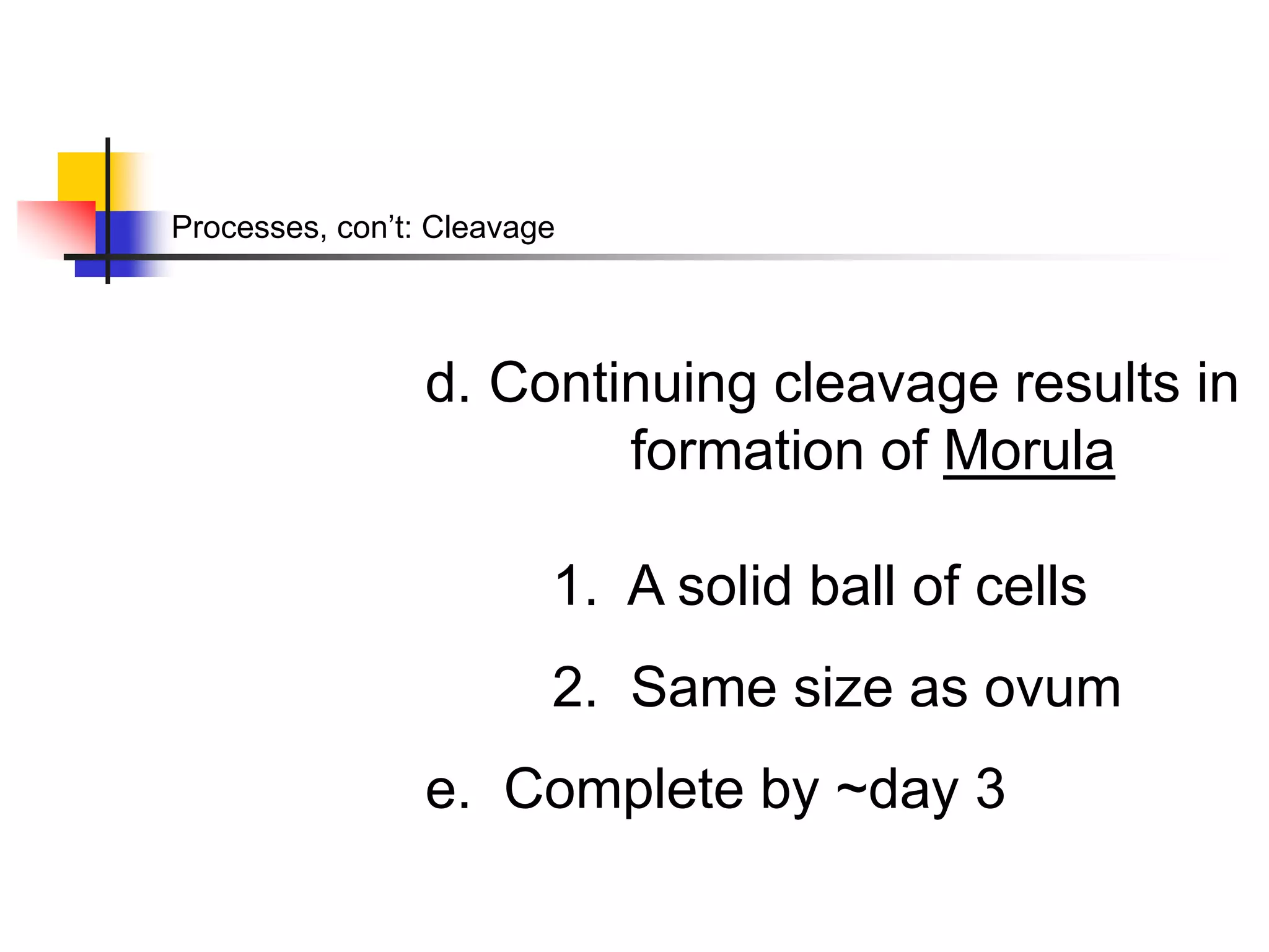 Basic Embryology.ppt.pptx