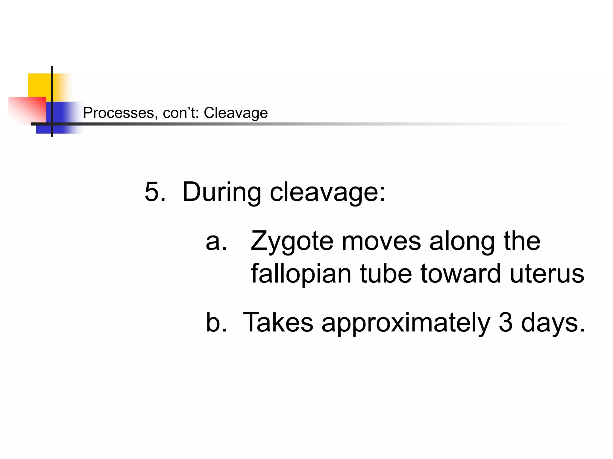 Basic Embryology.ppt.pptx