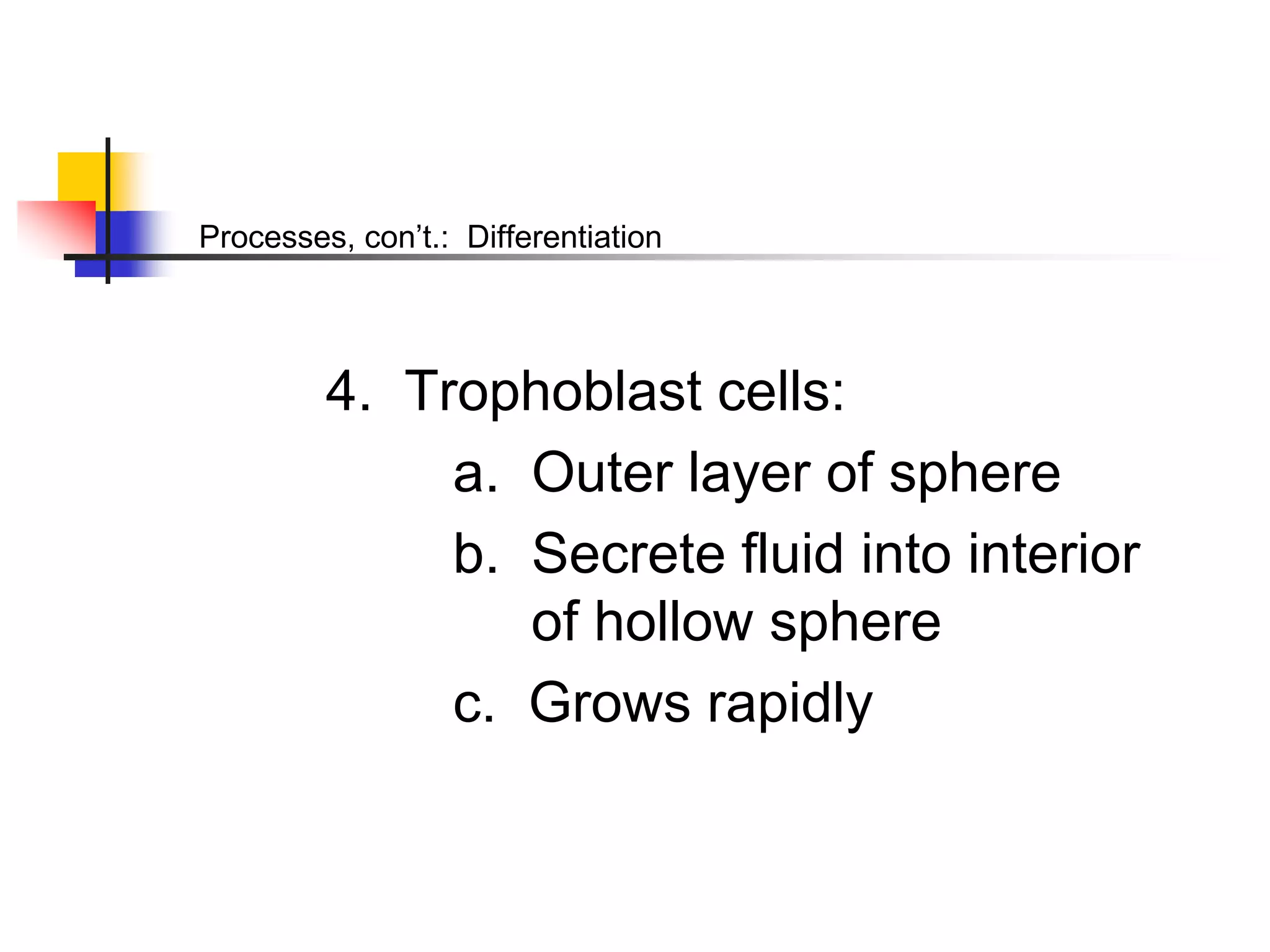 Basic Embryology.ppt.pptx