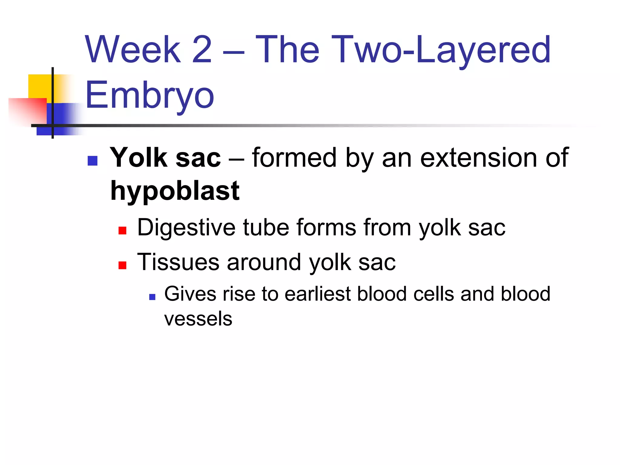 Basic Embryology.ppt.pptx