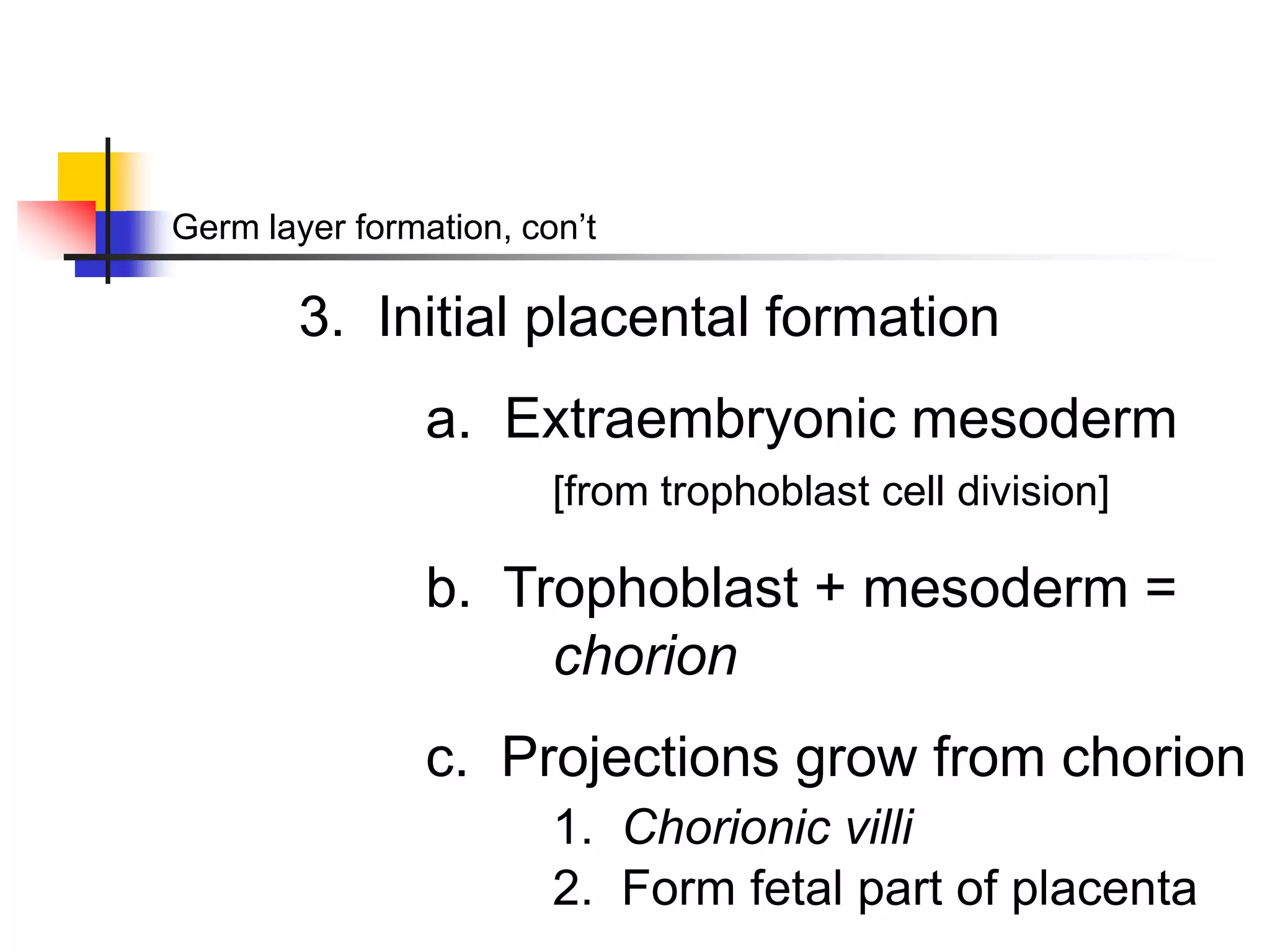 Basic Embryology.ppt.pptx