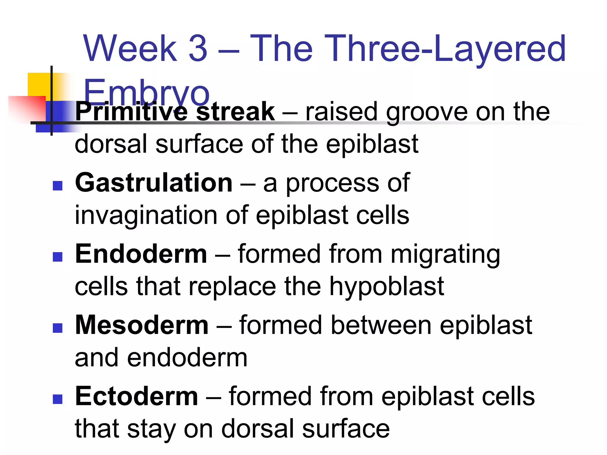 Basic Embryology.ppt.pptx