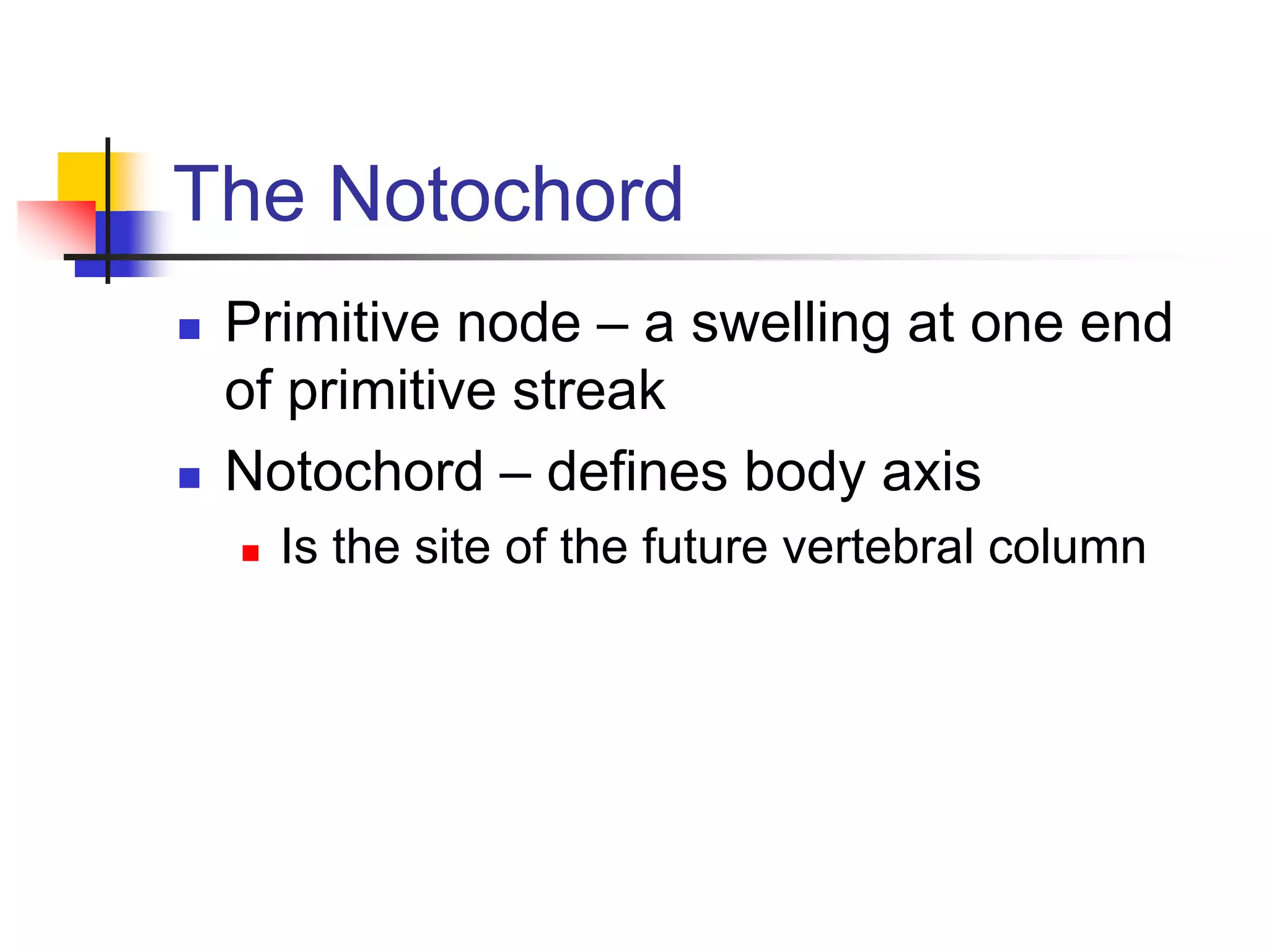 Basic Embryology.ppt.pptx