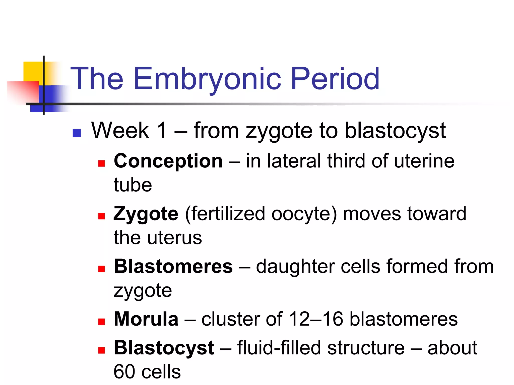 Basic Embryology.ppt.pptx