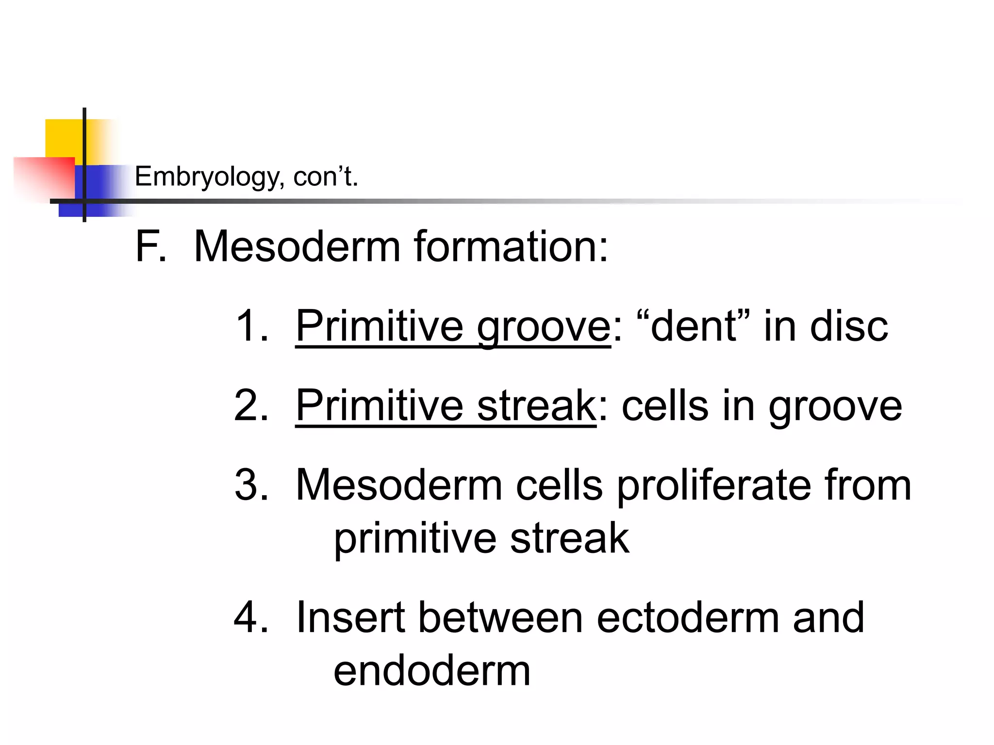 Basic Embryology.ppt.pptx