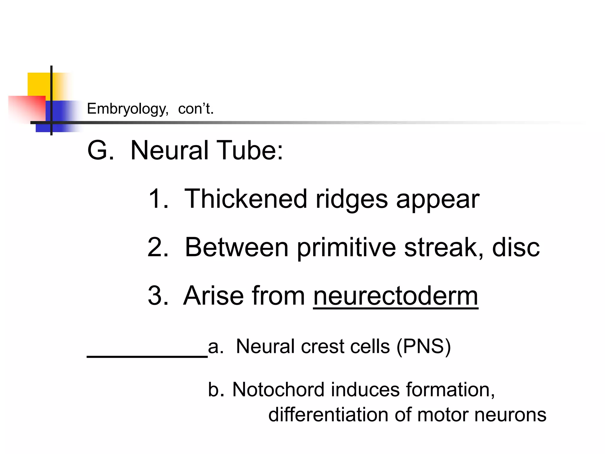 Basic Embryology.ppt.pptx