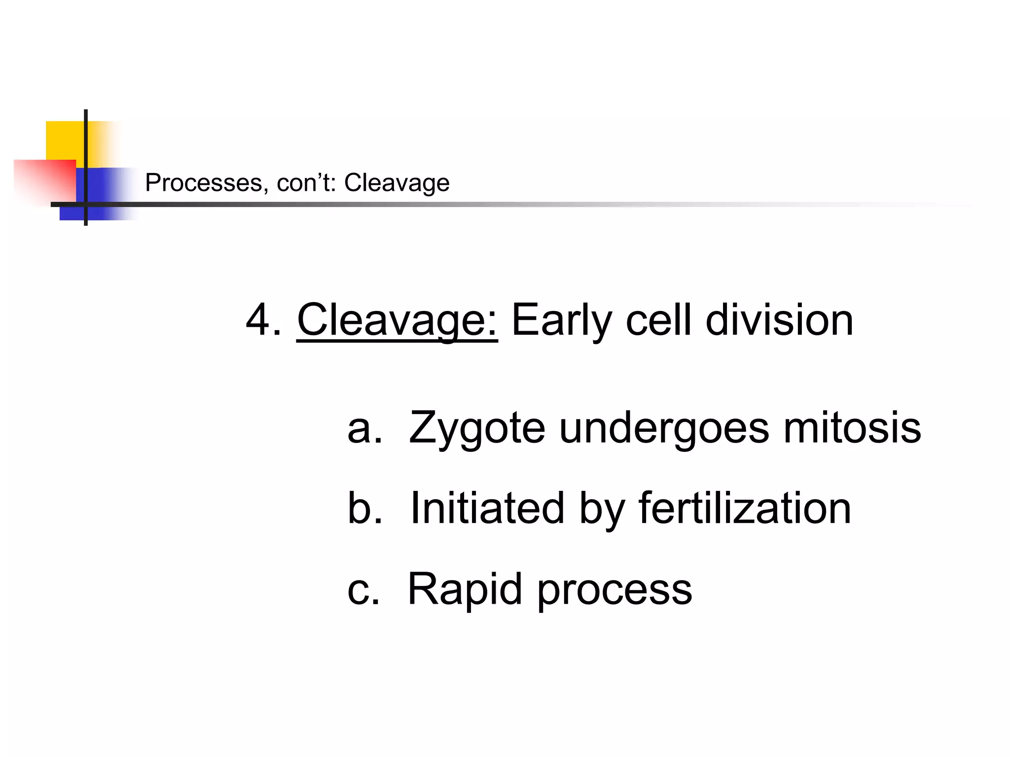 Basic Embryology.ppt.pptx