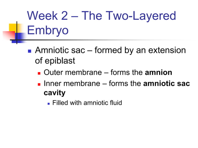 Basic Embryology.ppt.pptx