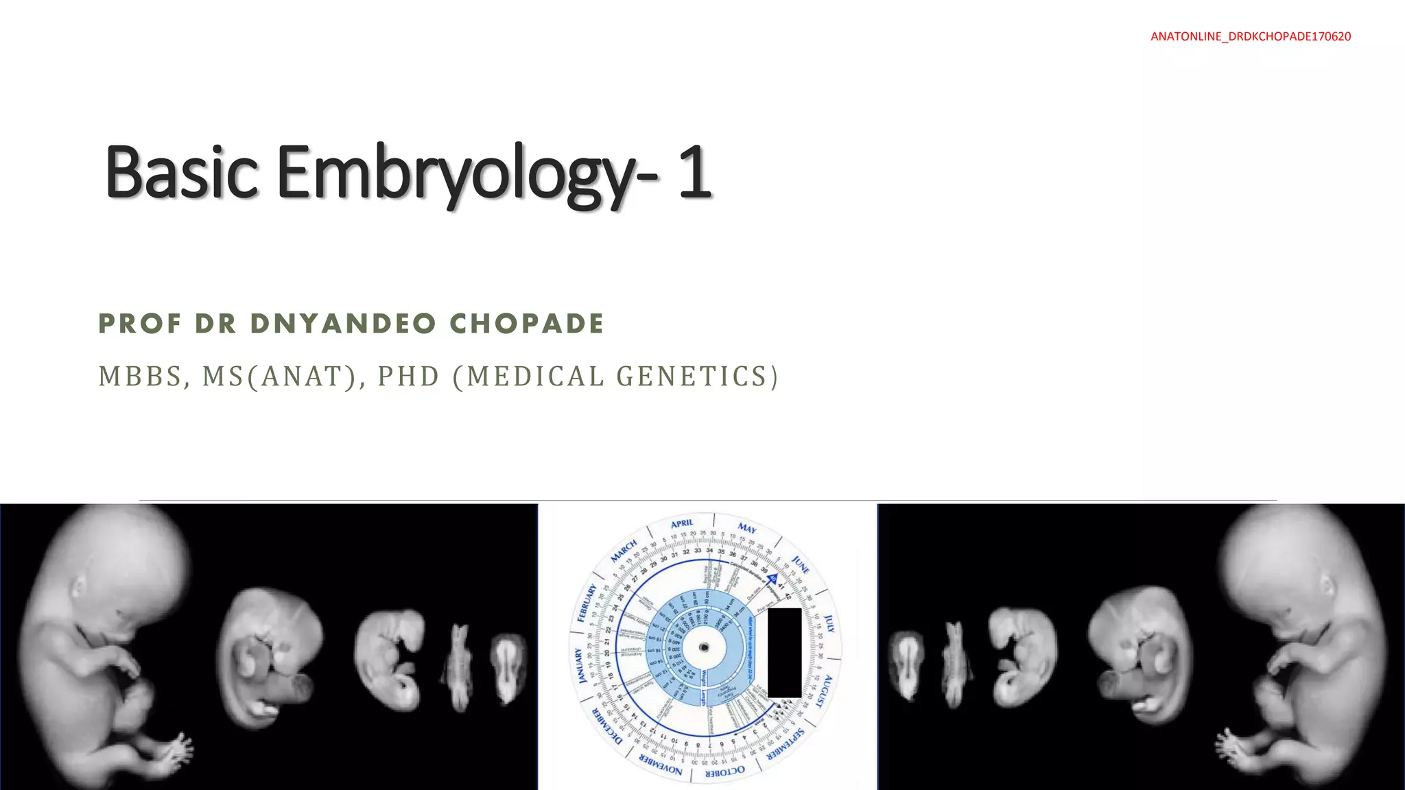 Basic embryology 1- Gametogenesis | PPTX
