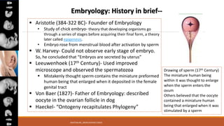 Basic embryology 1- Gametogenesis | PPTX