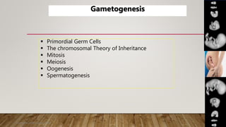 Basic embryology 1- Gametogenesis | PPTX