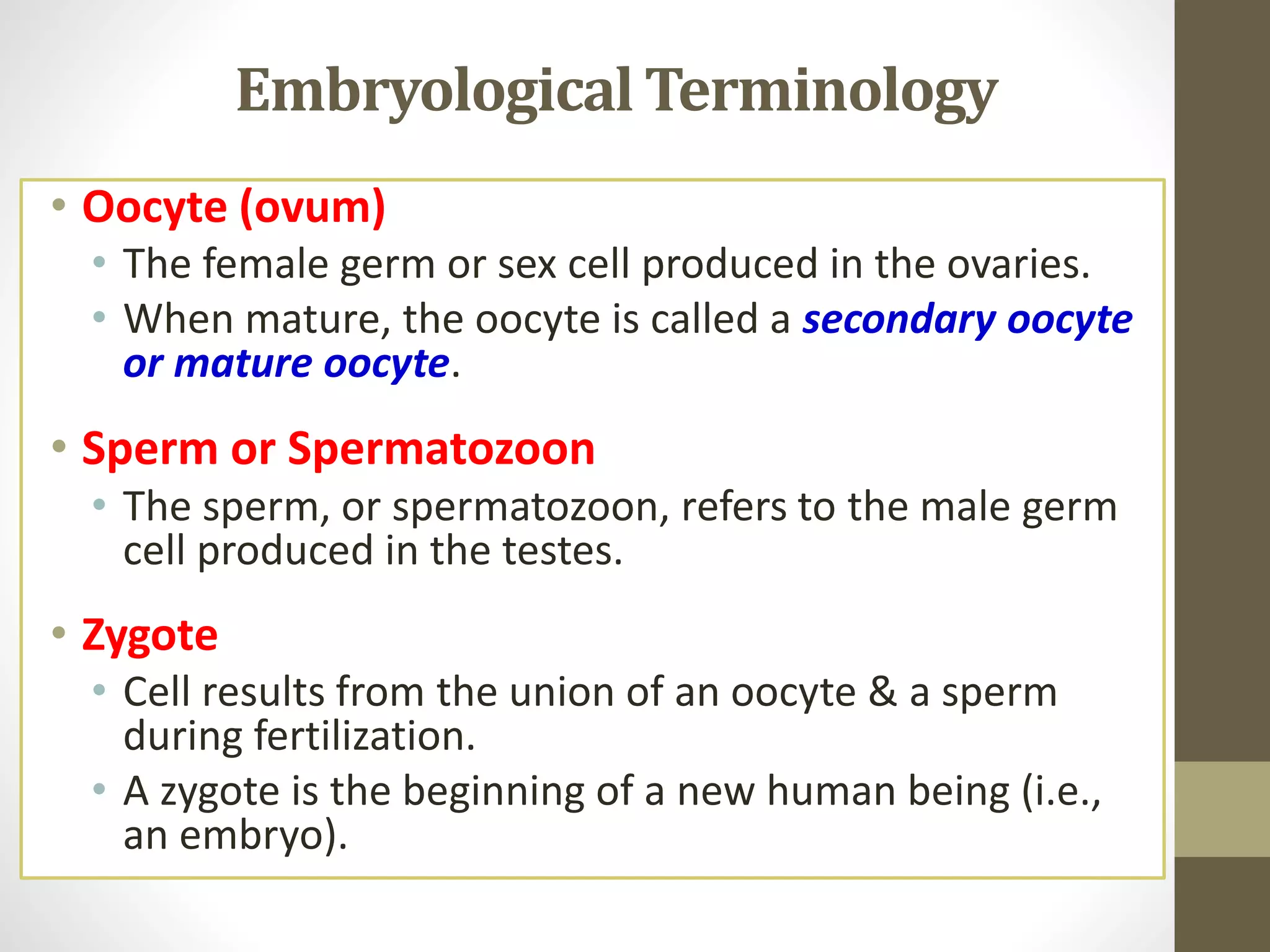Basic Embryology(1).pdf
