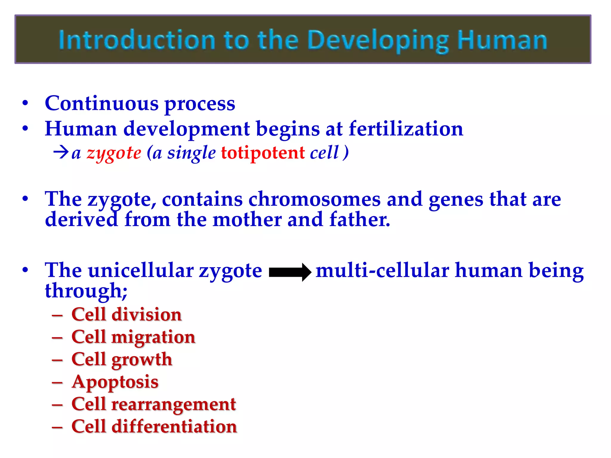 Basic Embryology(1).pdf