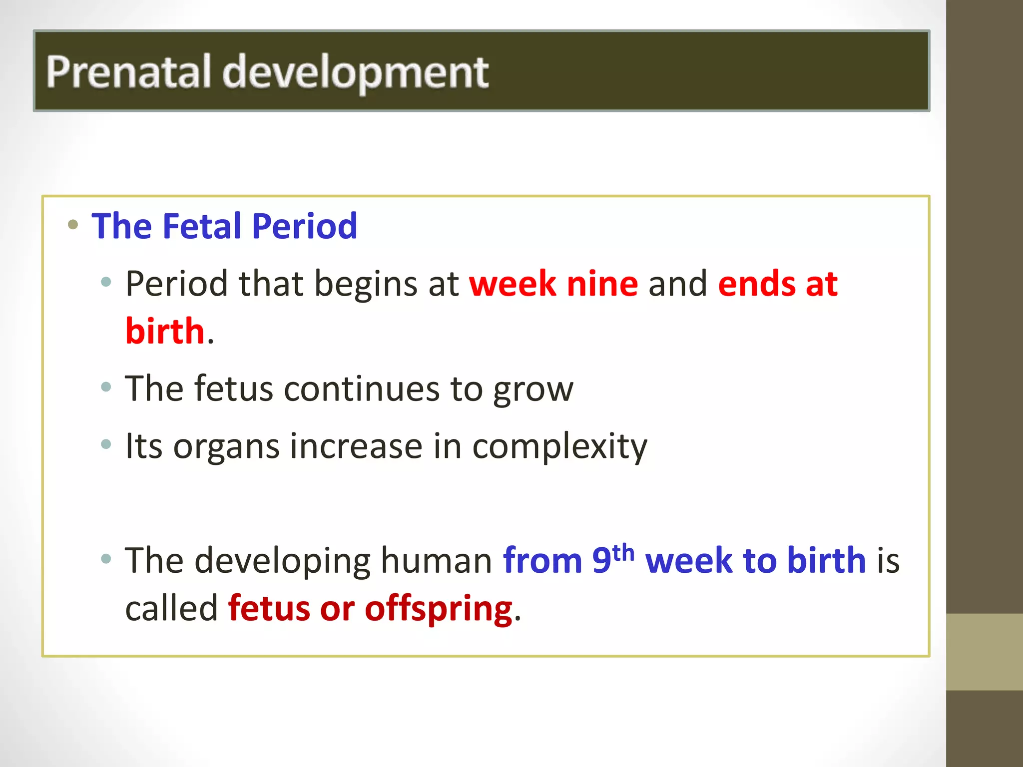 Basic Embryology(1).pdf