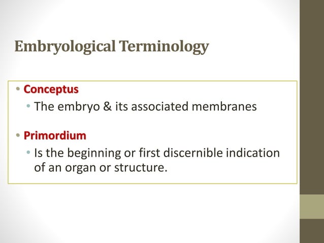 Basic Embryology(1).pdf
