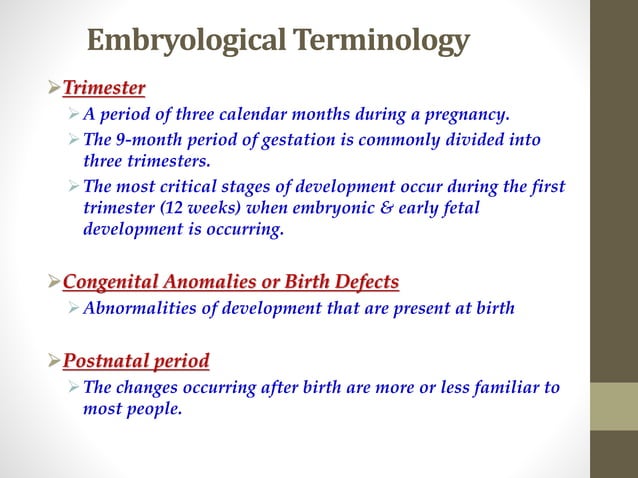 Basic Embryology(1).pdf