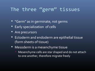 Basic embryology by dr. armaan singh | PPT