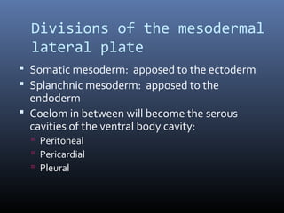 Basic embryology by dr. armaan singh | PPT