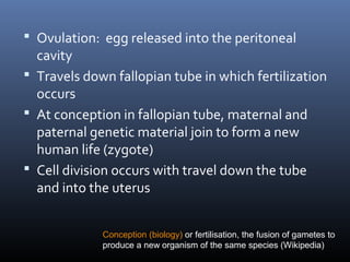 Basic embryology by dr. armaan singh | PPT