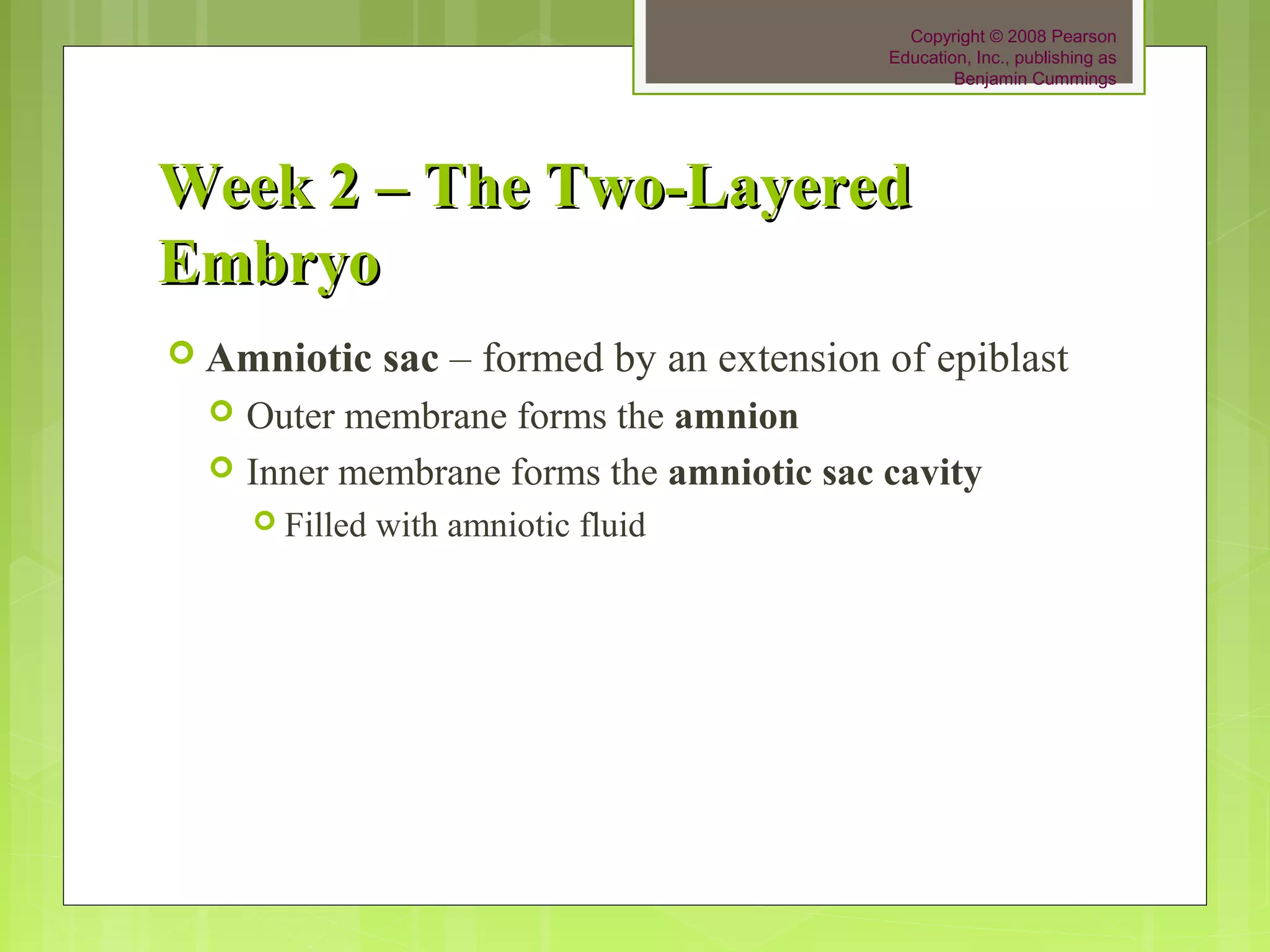 Basic embryology part i | PPT