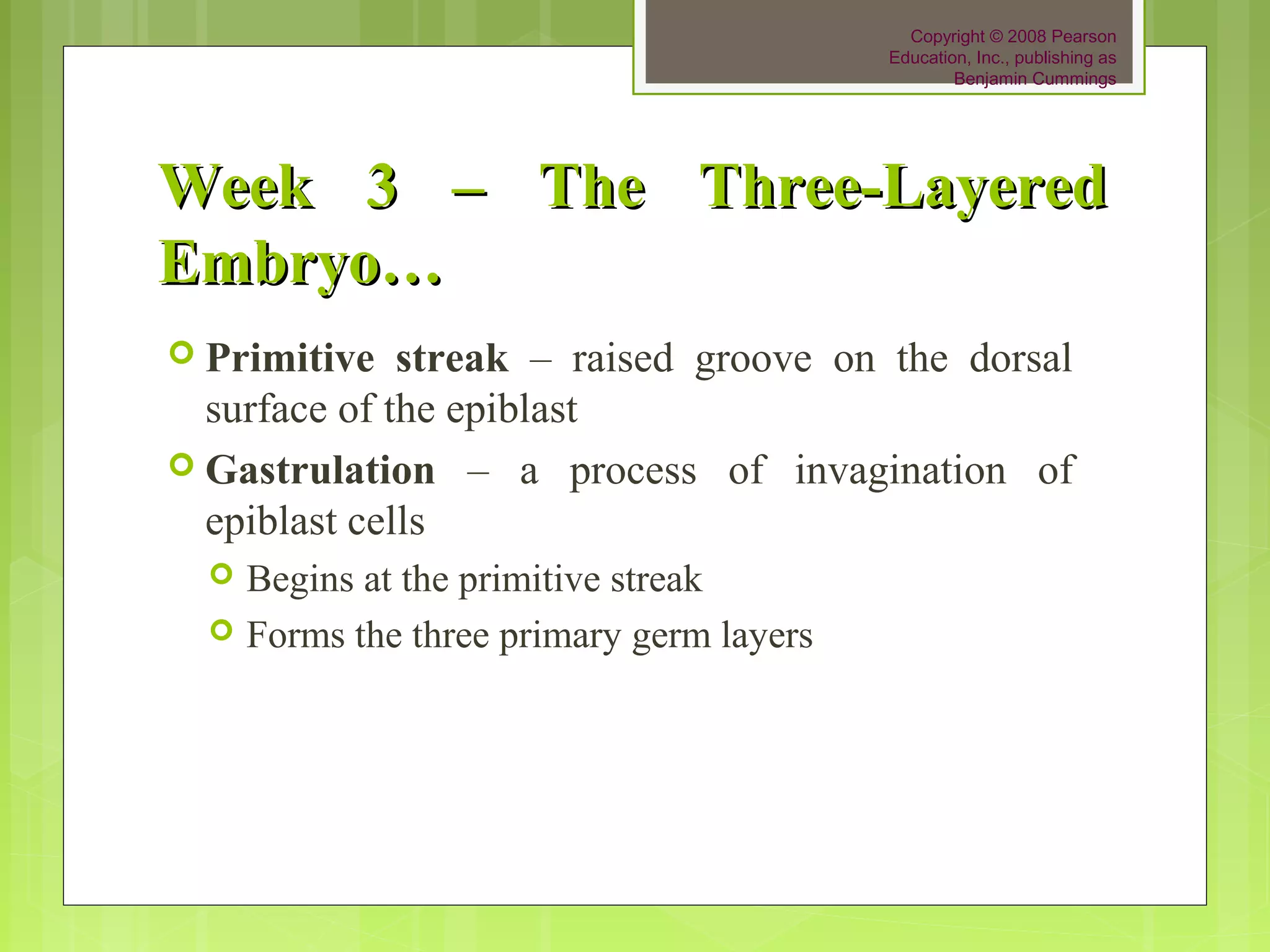 Basic embryology part i | PPT