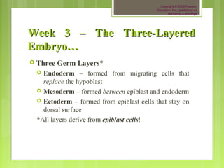 Basic embryology part i | PPT