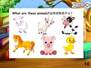 Basic English | PDF | Pets