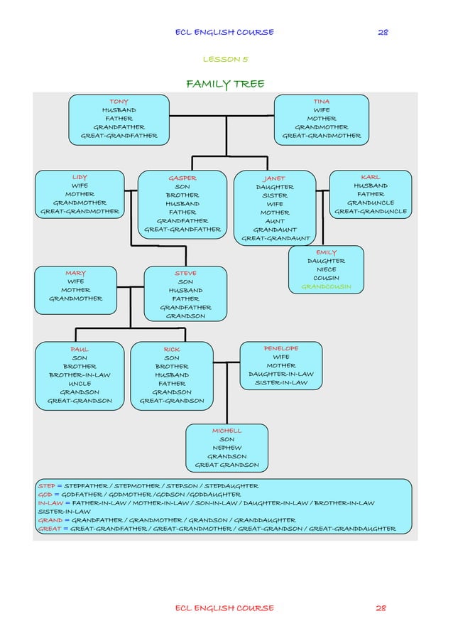 Basic english book and grammar | PDF
