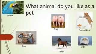 Basic english for kids | PPTX