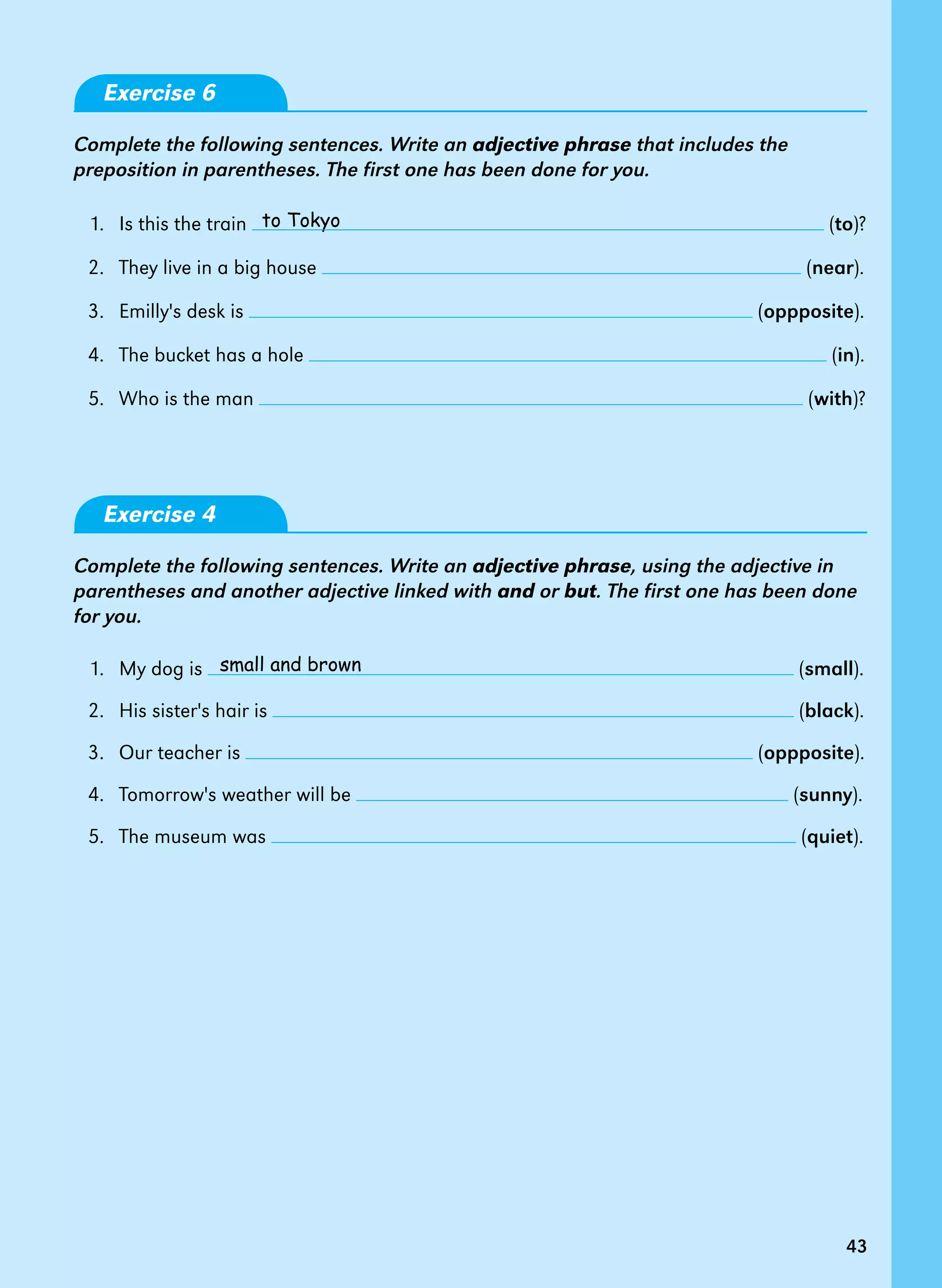 Basic English GrammarBook | PDF