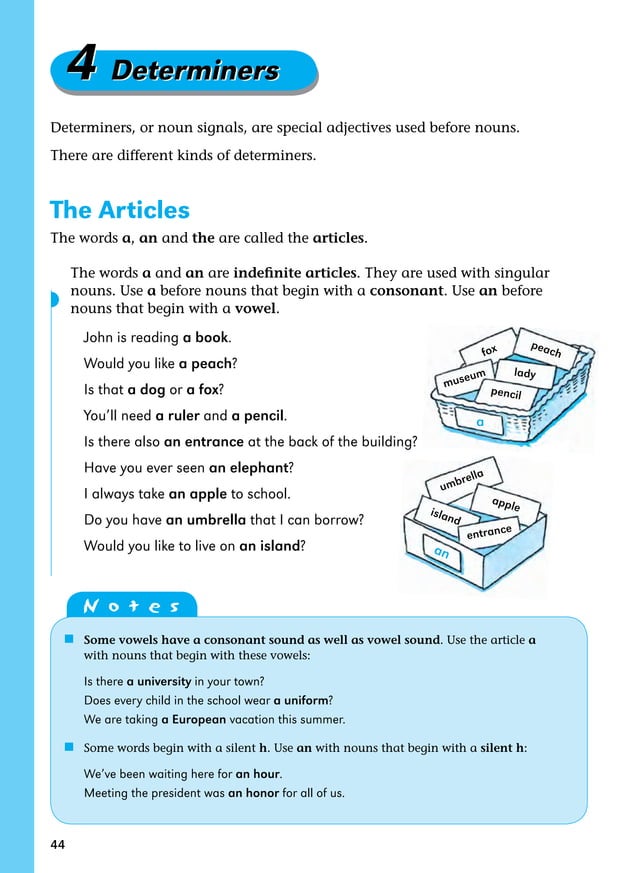 Basic English GrammarBook | PDF