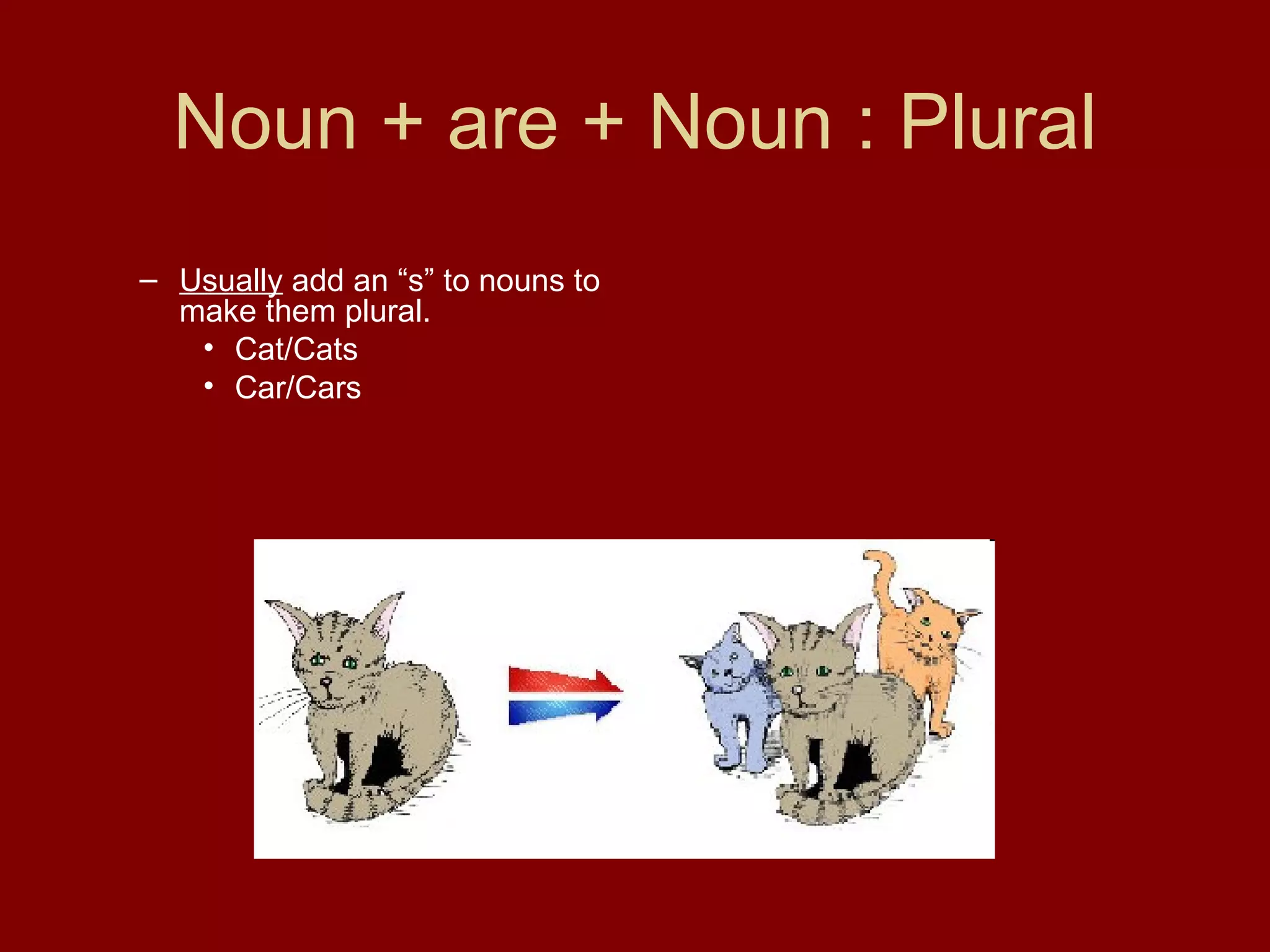Basic English Grammar Chapter 1 | PPT