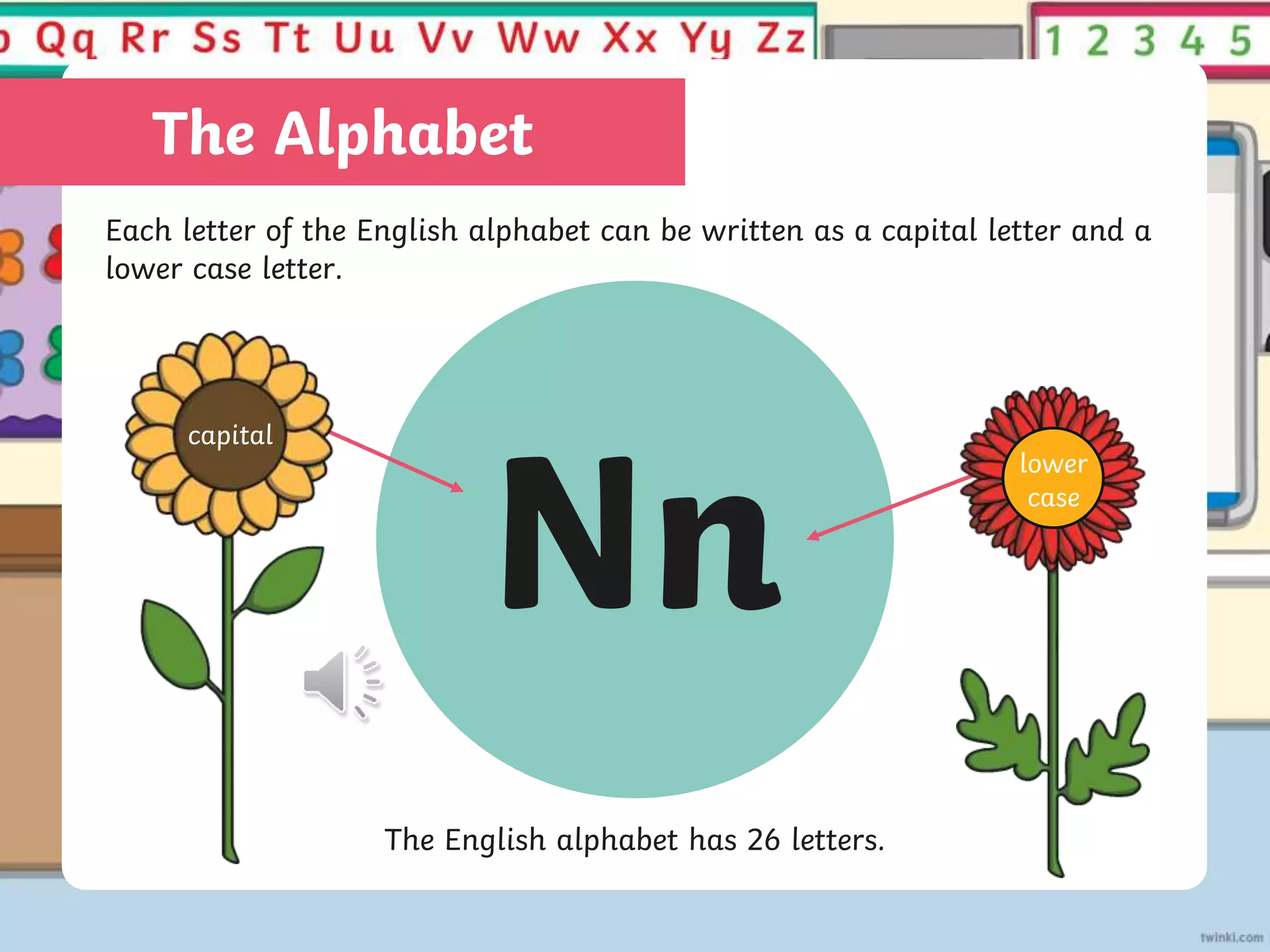 Basic English Vocabulary.pptx
