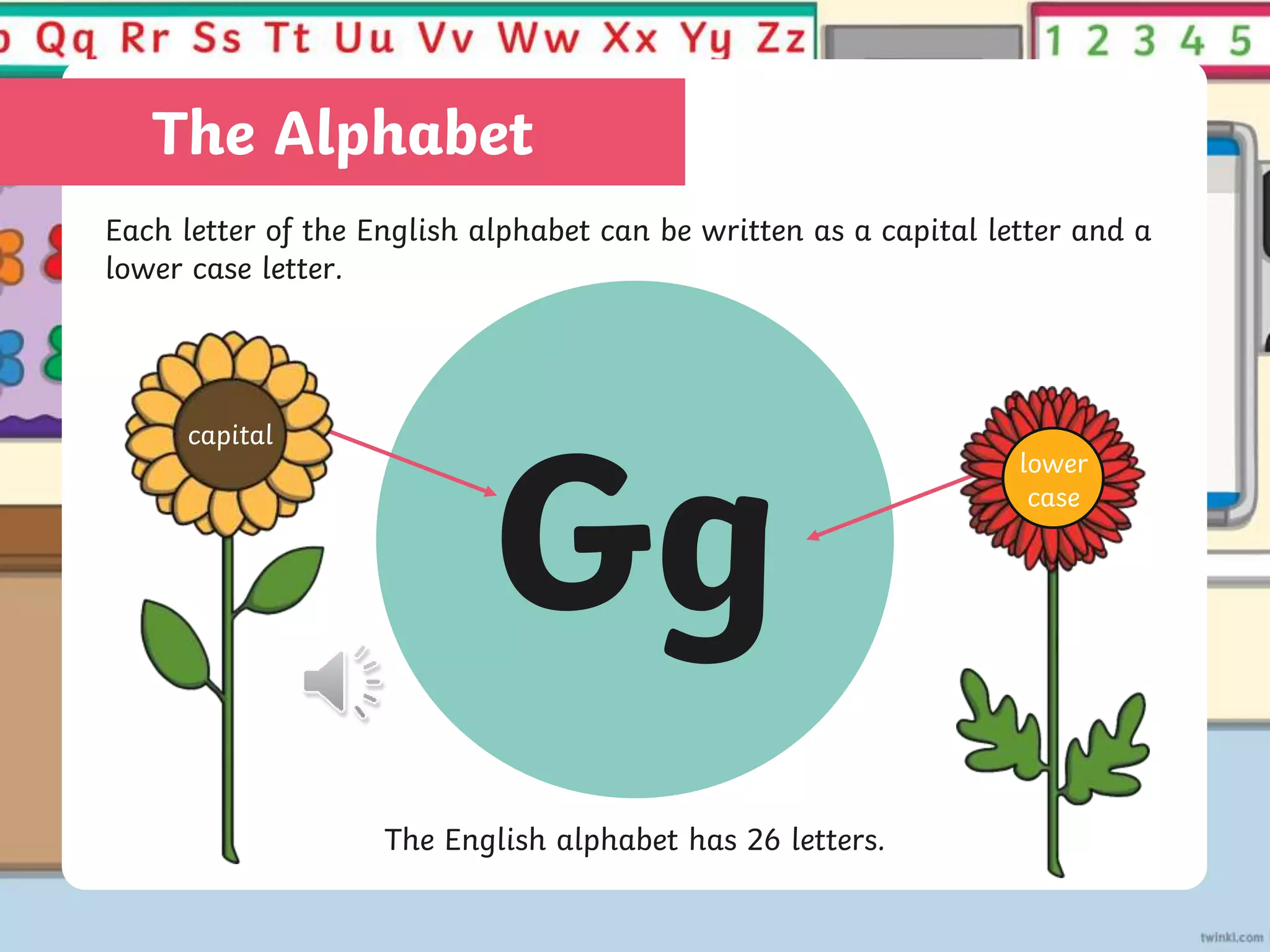 Basic English Vocabulary.pptx