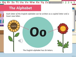 Basic English Vocabulary.pptx