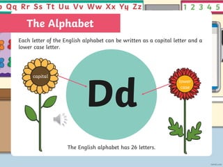 Basic English Vocabulary.pptx