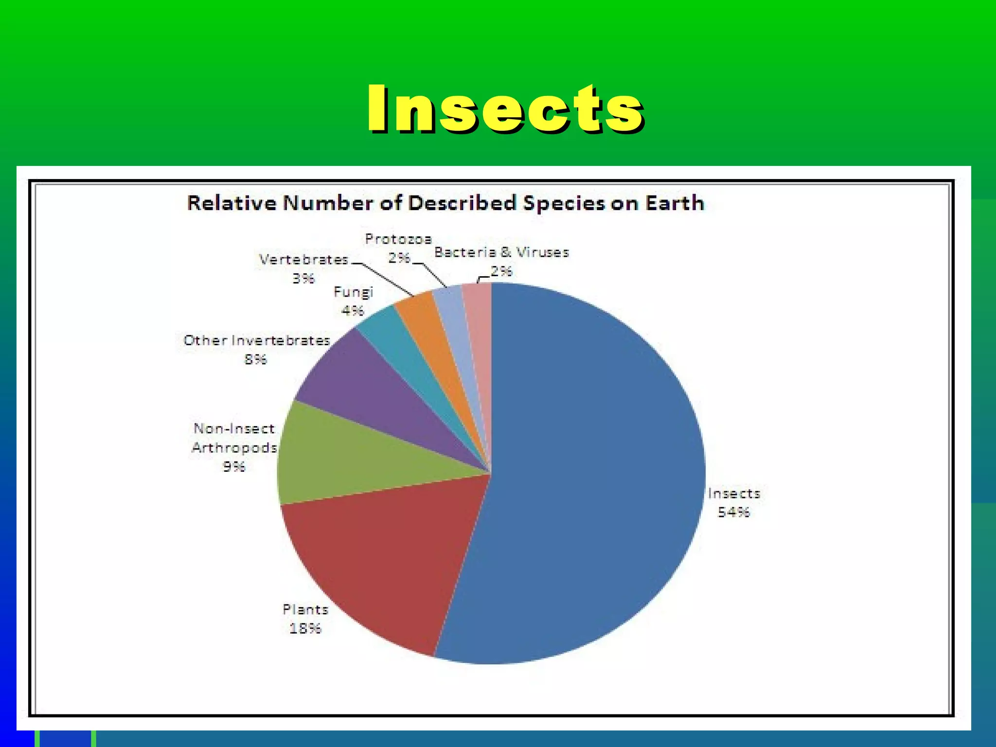 Basic entomology for children | PPT