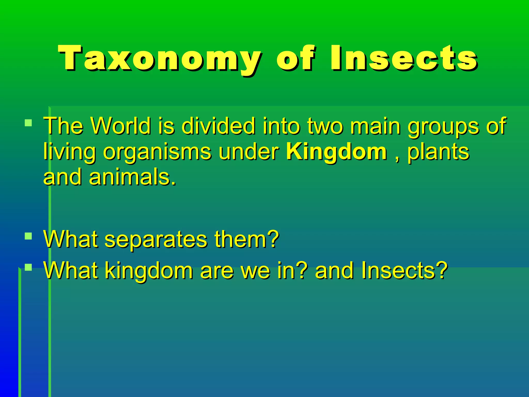 Basic entomology for children | PPT