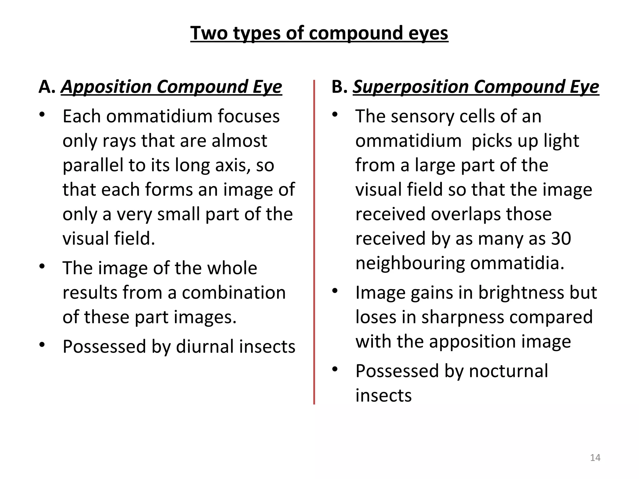 Basic Entomology - External Features of Insects | PPT
