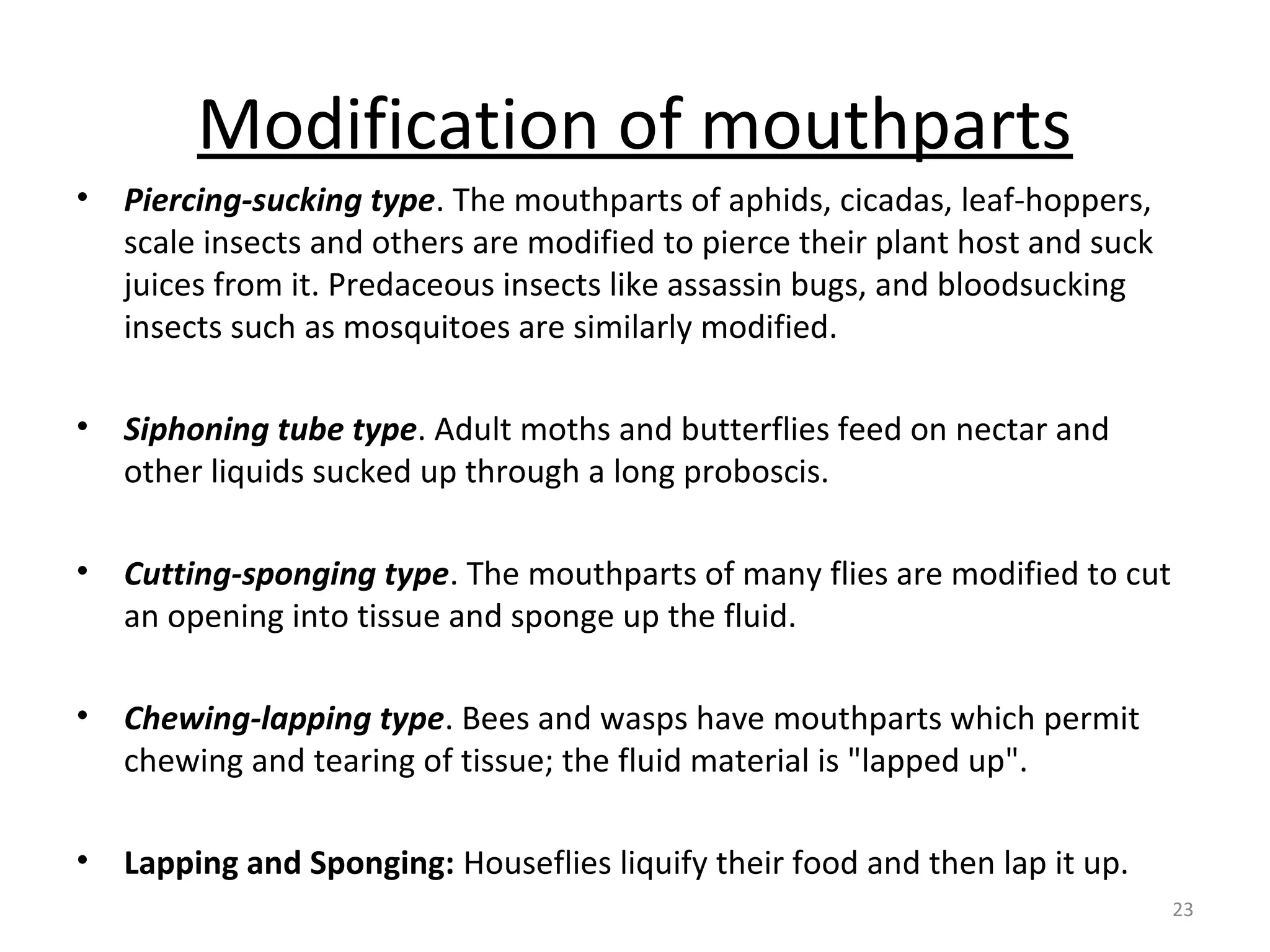 Basic Entomology - External Features of Insects | PPT