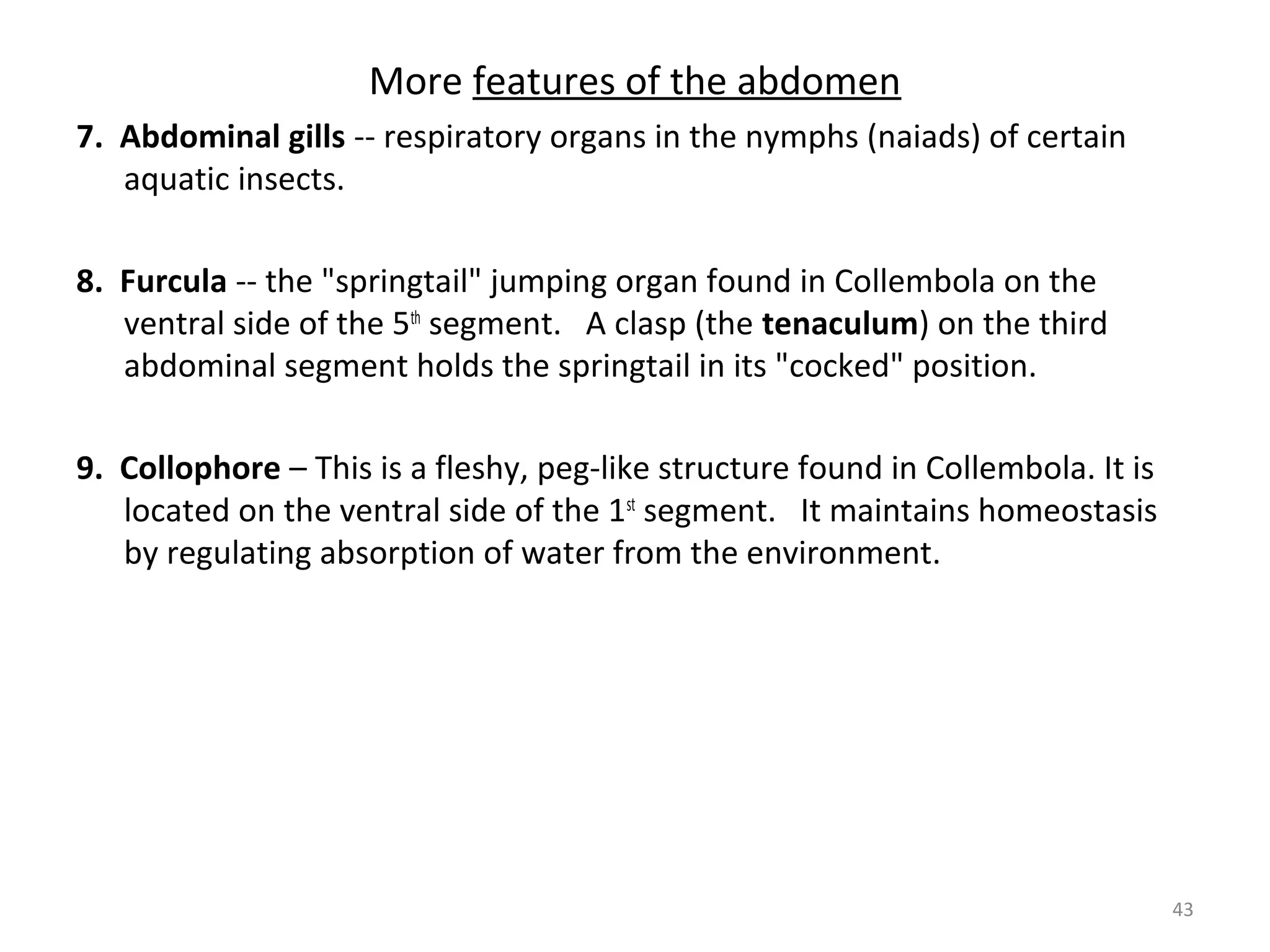 Basic Entomology - External Features of Insects | PPT