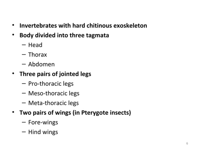 Basic Entomology - External Features of Insects | PPT