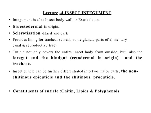 basic entomogy, insect anatomy, morphology | PPTX | Biological Sciences ...