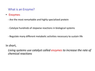 basic enzymology .ppt