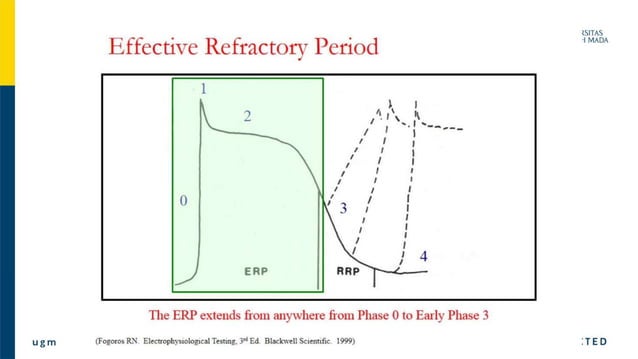 Basic Electrophysiology study and EGM material.pptx | Heart and ...