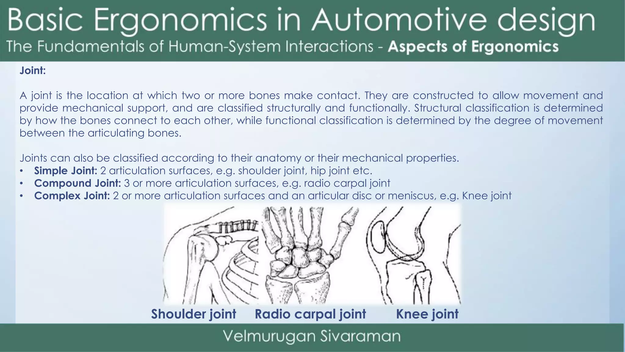 Basic ergonomics in automotive design | PDF