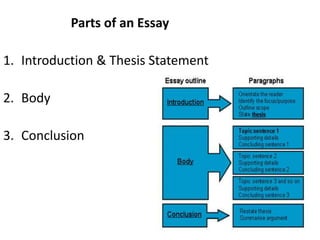 basic essay structure.pptx basic english | PPTX