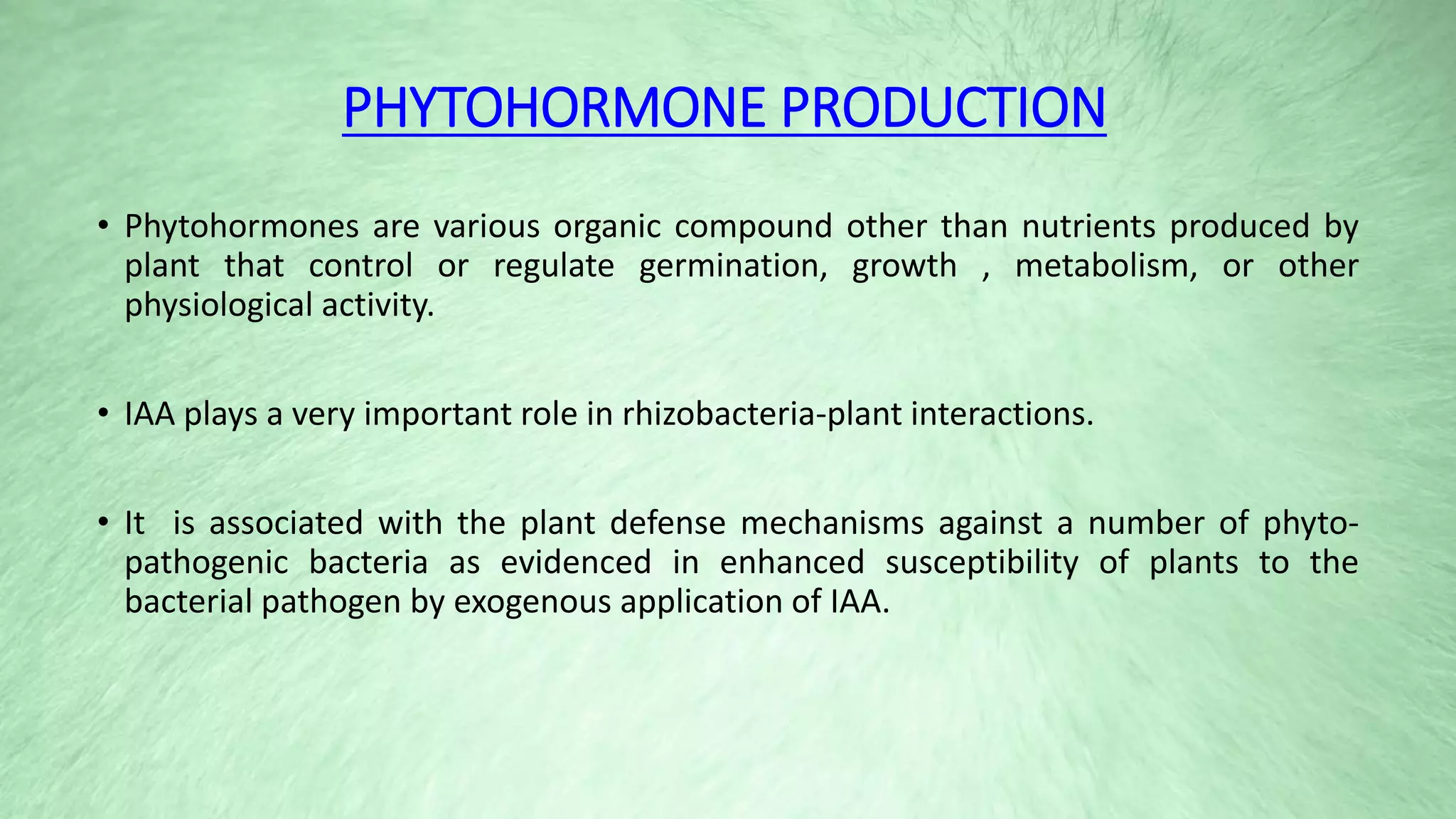plant growth promoting rhizobacteria | PPTX